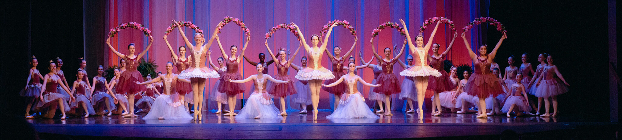 Dance | Shenandoah Conservatory Arts Academy